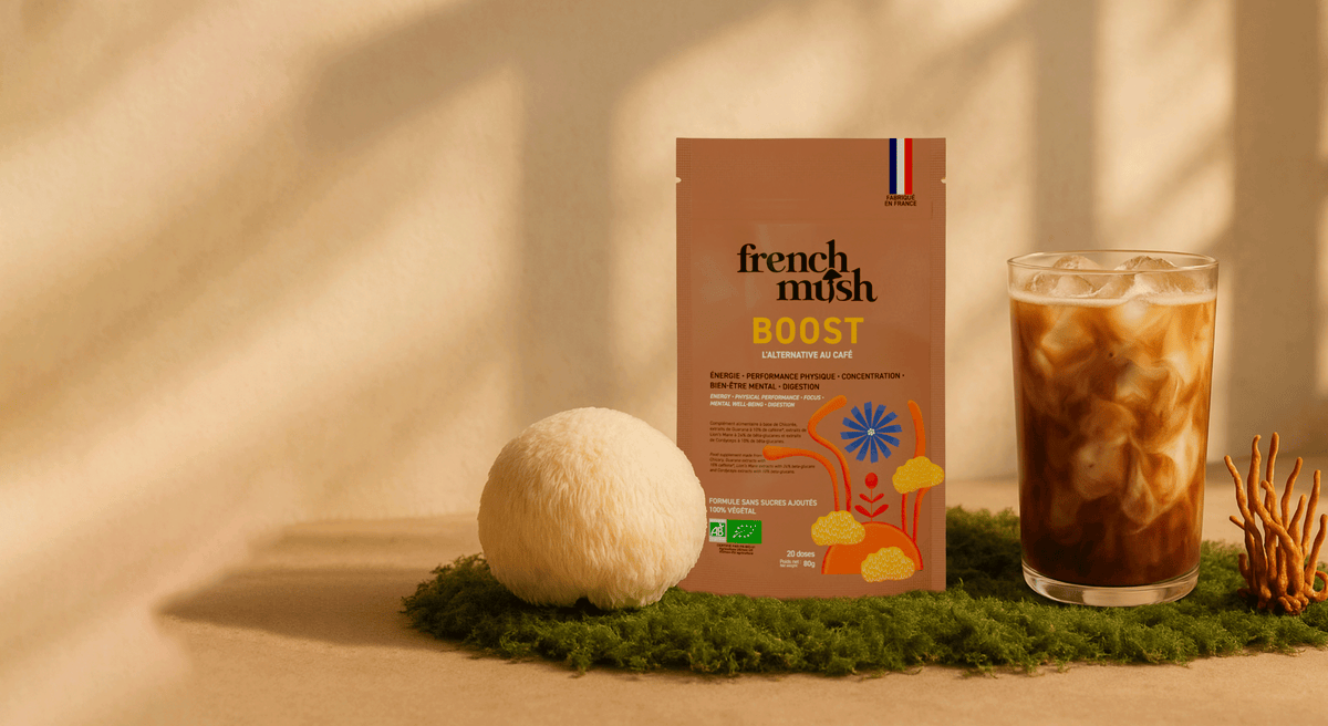 Champignons adaptogènes français, boutique en ligne, French Mush
